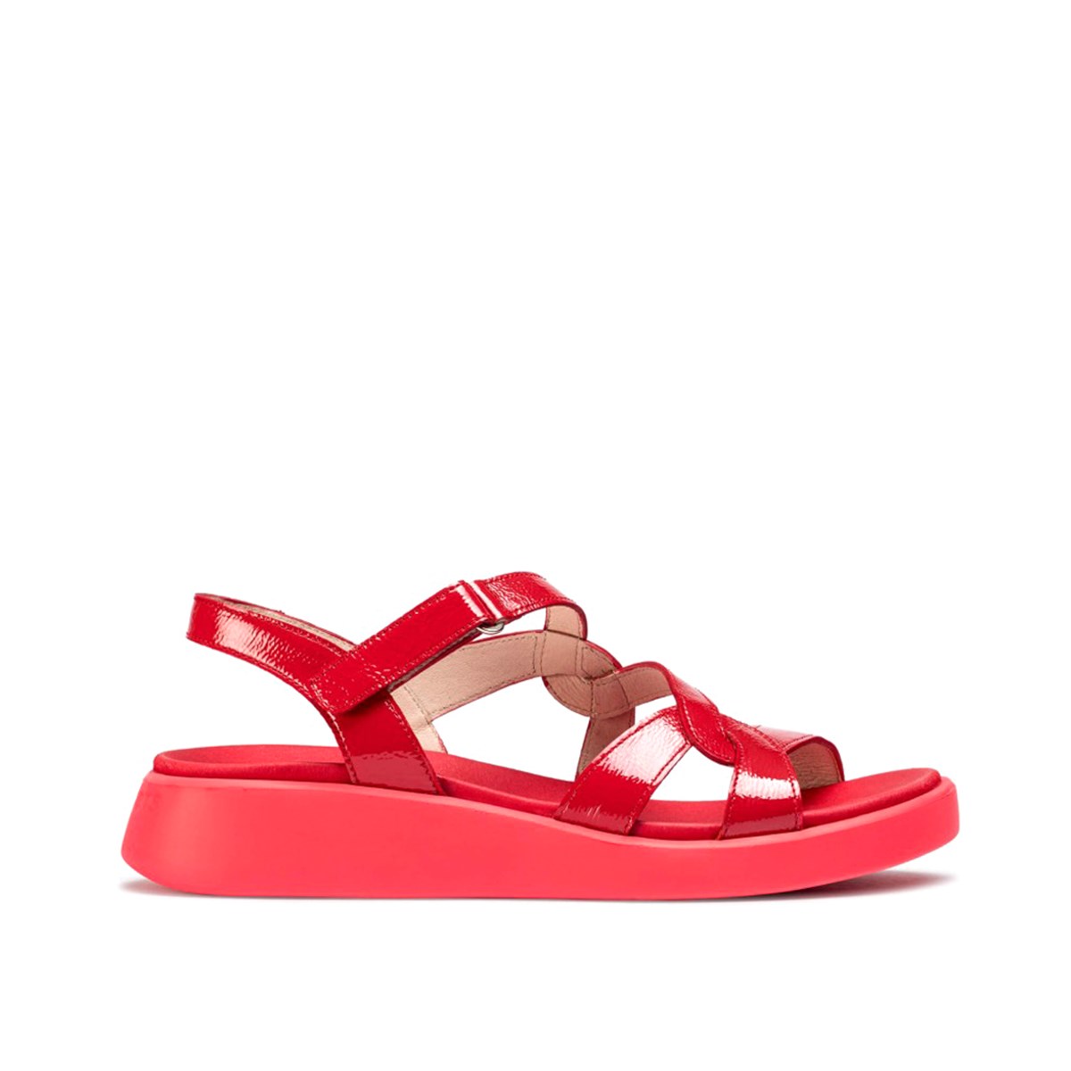 WONDERS sandala - rodea